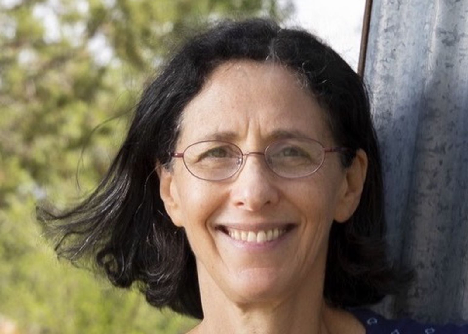 Melanie Mitchell — DIGHUM